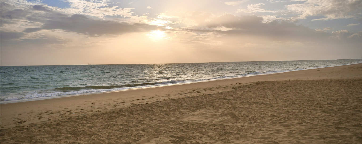 San Diego Wellness Center | Contact Us